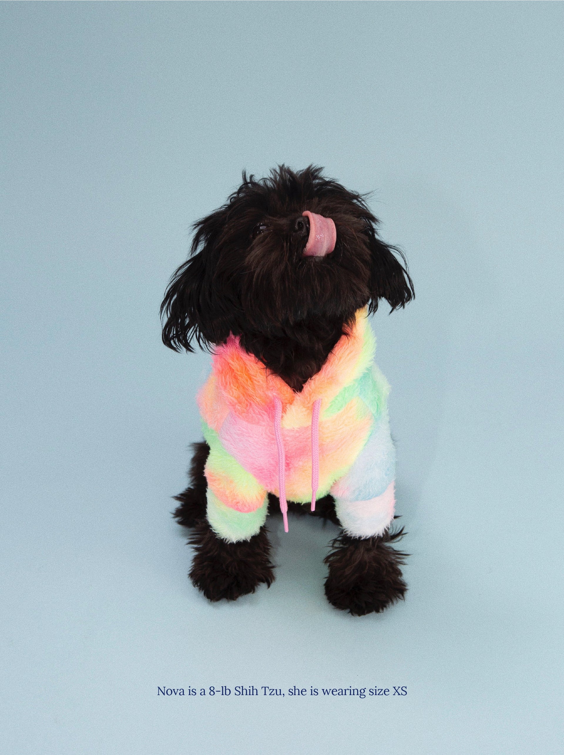 All Products – Little Beast