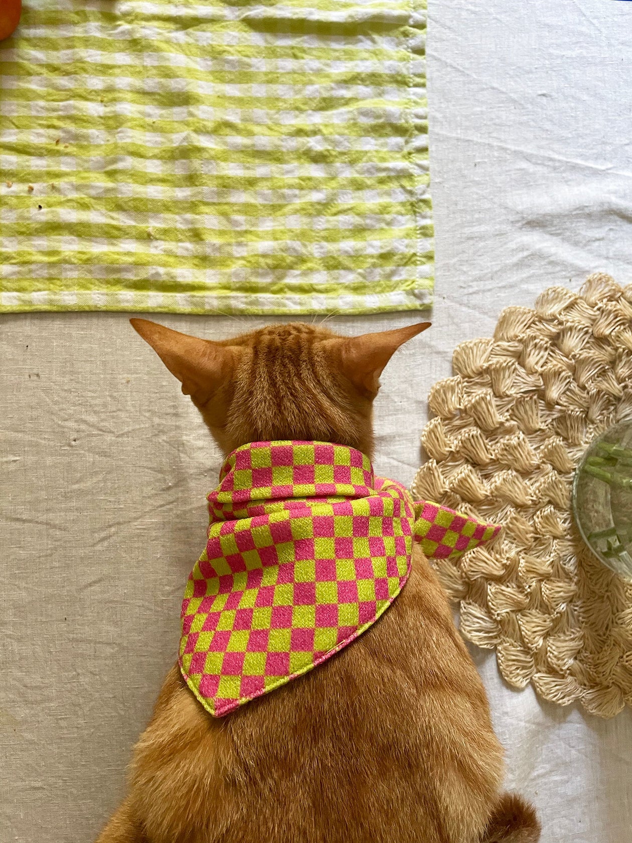 Weekend Picnic Bandana – Little Beast